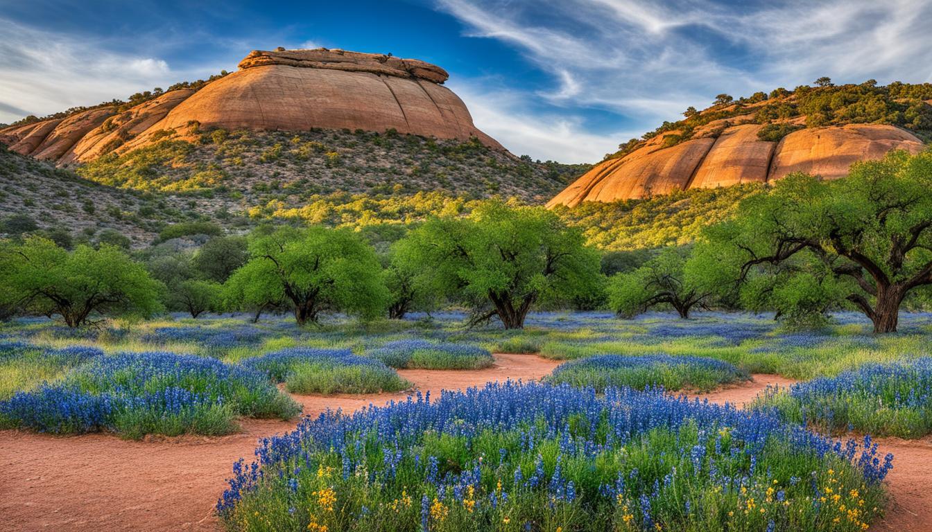 The Ultimate Guide to Camping in the Prairies and Lakes Region of Texas